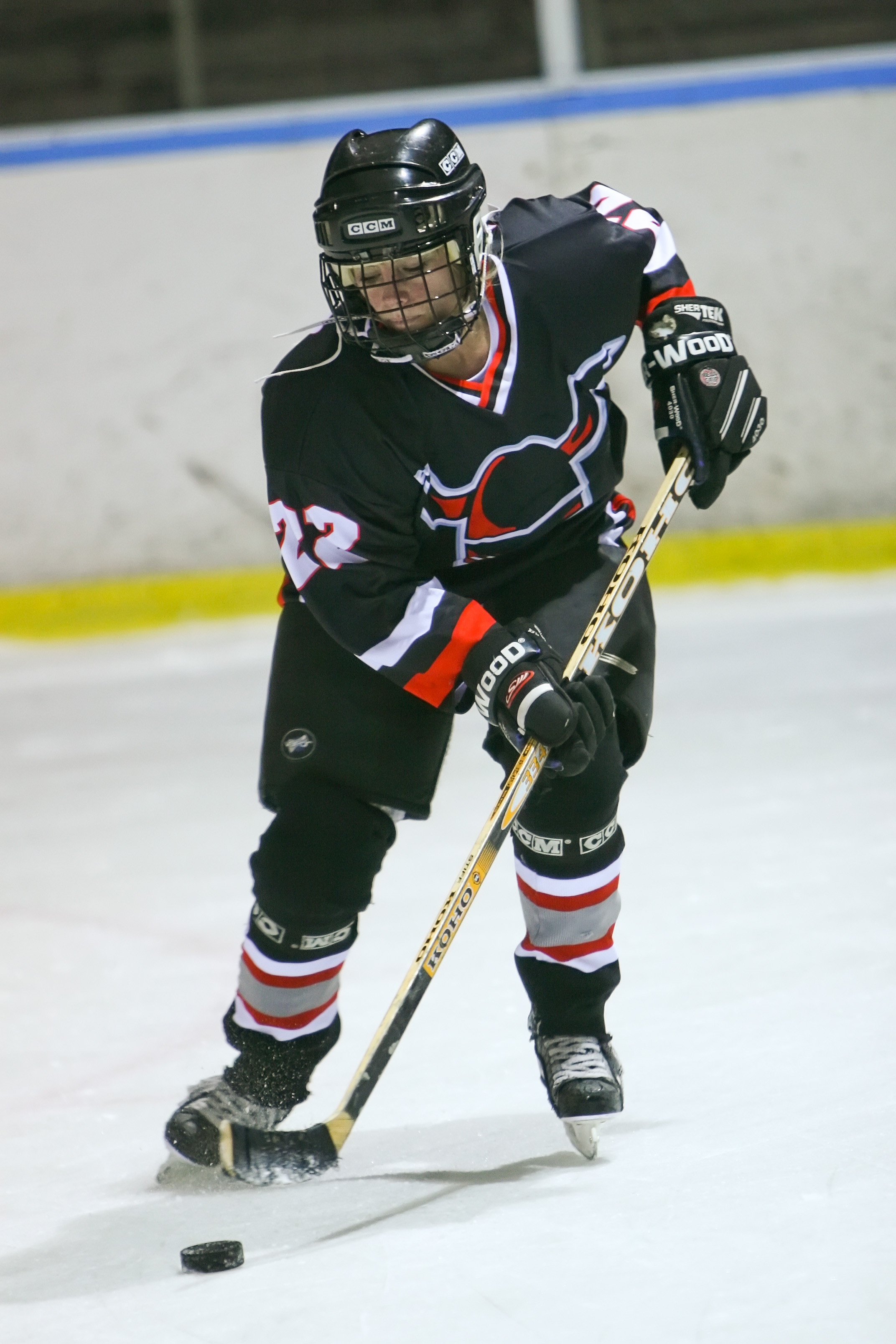 IJshockey (4) :: USC